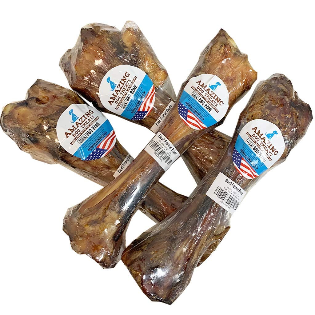 10-11 Inch Meaty FEV6 Beef Femur Bone (Single Count) - (Made in USA ...