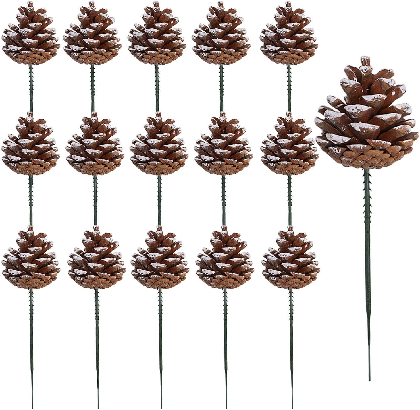 10/20/30 Pieces 2 Inch Christmas Natural Pine Cones Snow Tipped Natural ...