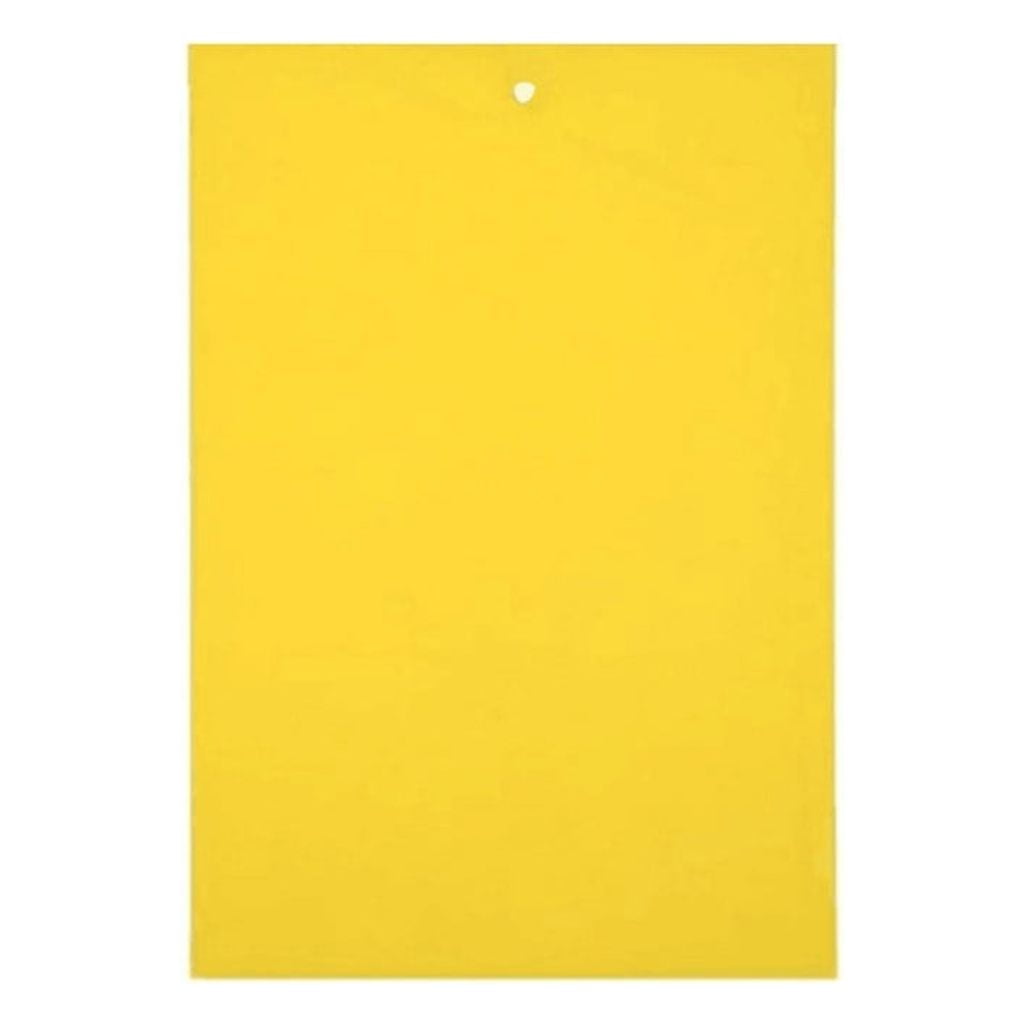 10/20/30PC Sided Yellow Sticky Gnat Traps for Indoor/Outdoor Flying ...