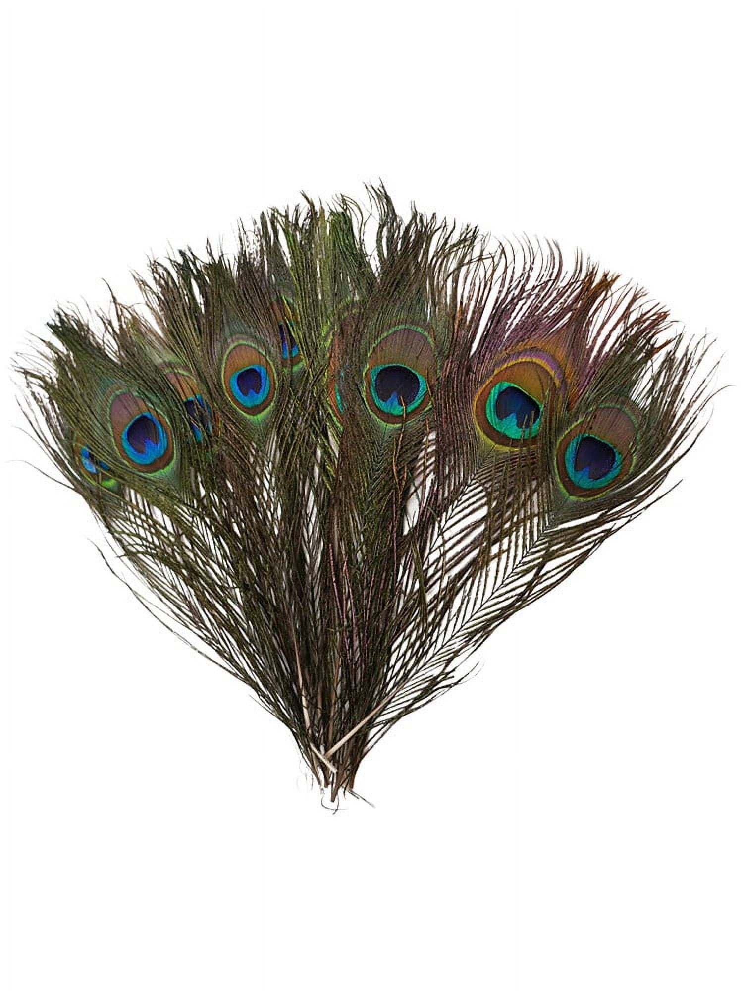 10/20pcs Peacock Tail Natural Fly fishing bait Tying Materials 25-30cm ...