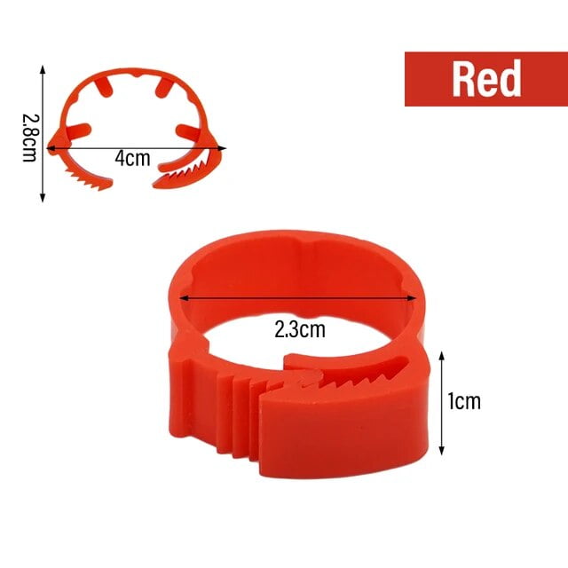 10/30/50Pcs Adjustable Poultry Chicken Foot Ring Identification Leg ...
