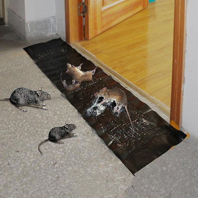 10/5/1 pcs Enhanced Stickiness Extra Large Rat Sticky Mouse Pads for ...