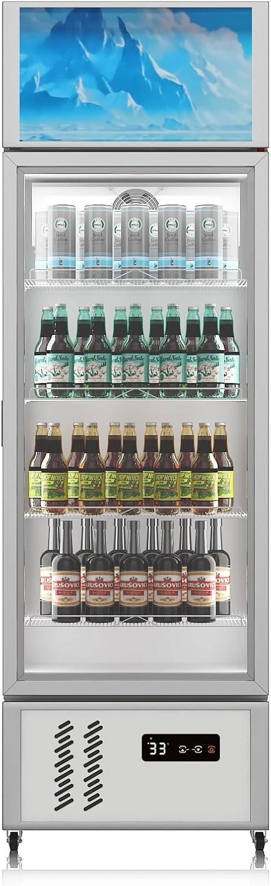 10.5 Cu Ft Commercial Merchandiser Refrigerator, Beverage Display ...