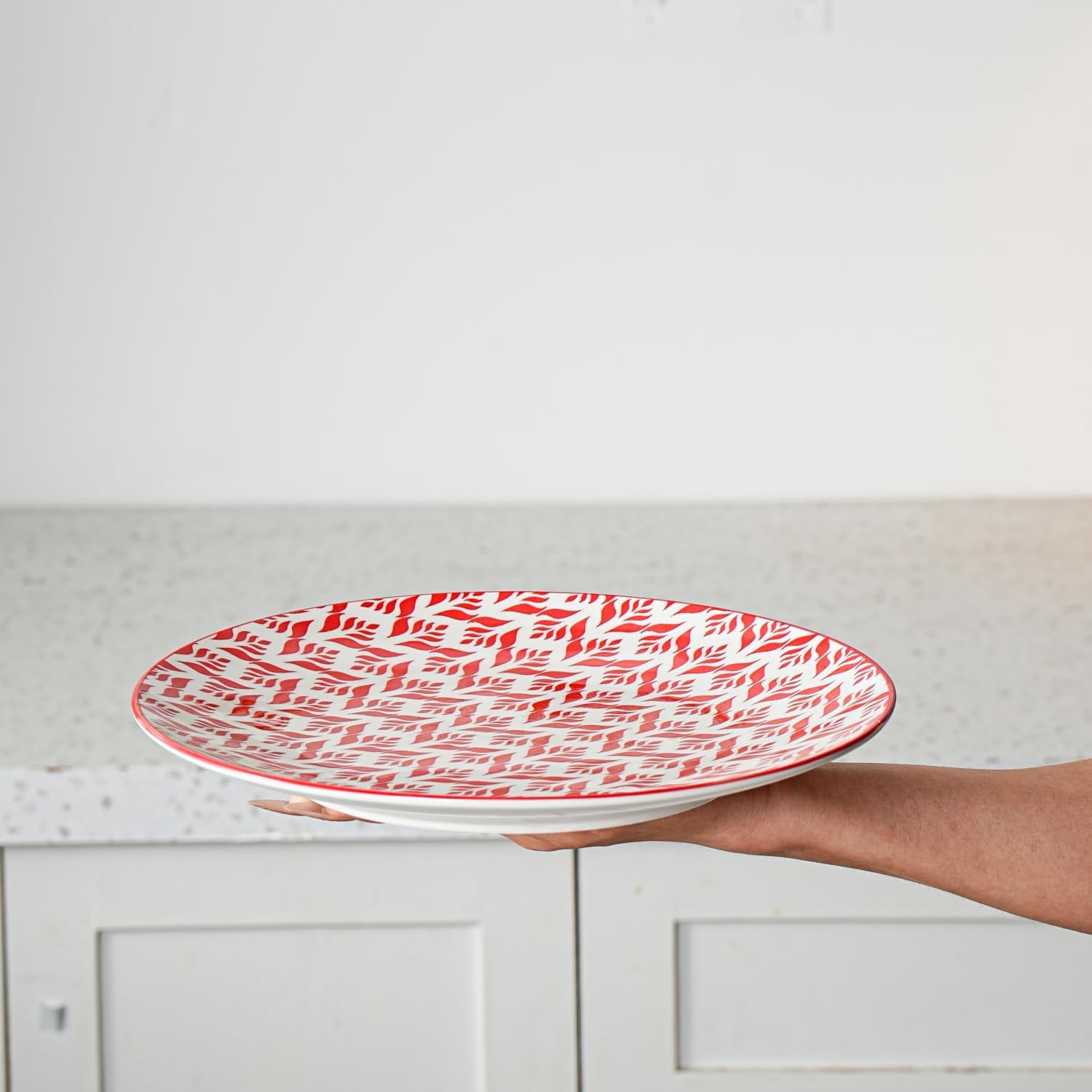 10.5 Inch Large Porcelain Dinner Plates Set - Microwave Dishwasher Safe ...