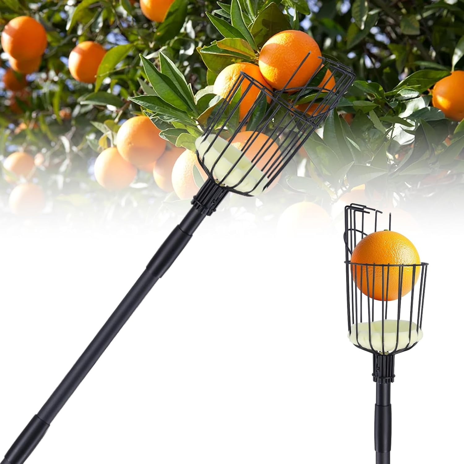 10.7FT (130 Inch) Fruit Picker Pole with Basket, Adjustable Fruits ...