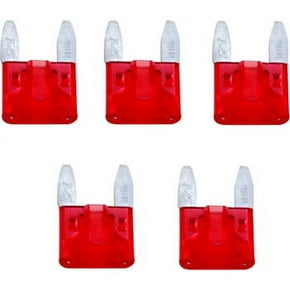 10 Amp Mini Fuse