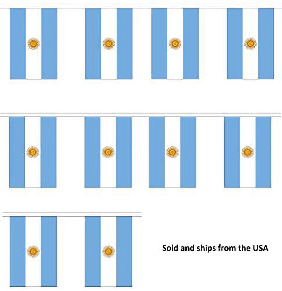 10' Argentina String Flag Party Bunting Has 10 Argentinean 6"x9 ...