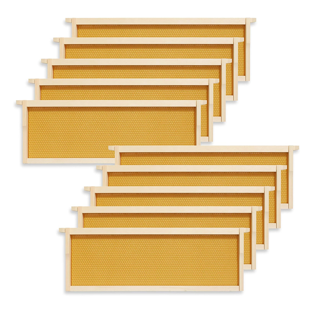 10 Assembled Beehive Frames with Waxed Natural Foundations for ...