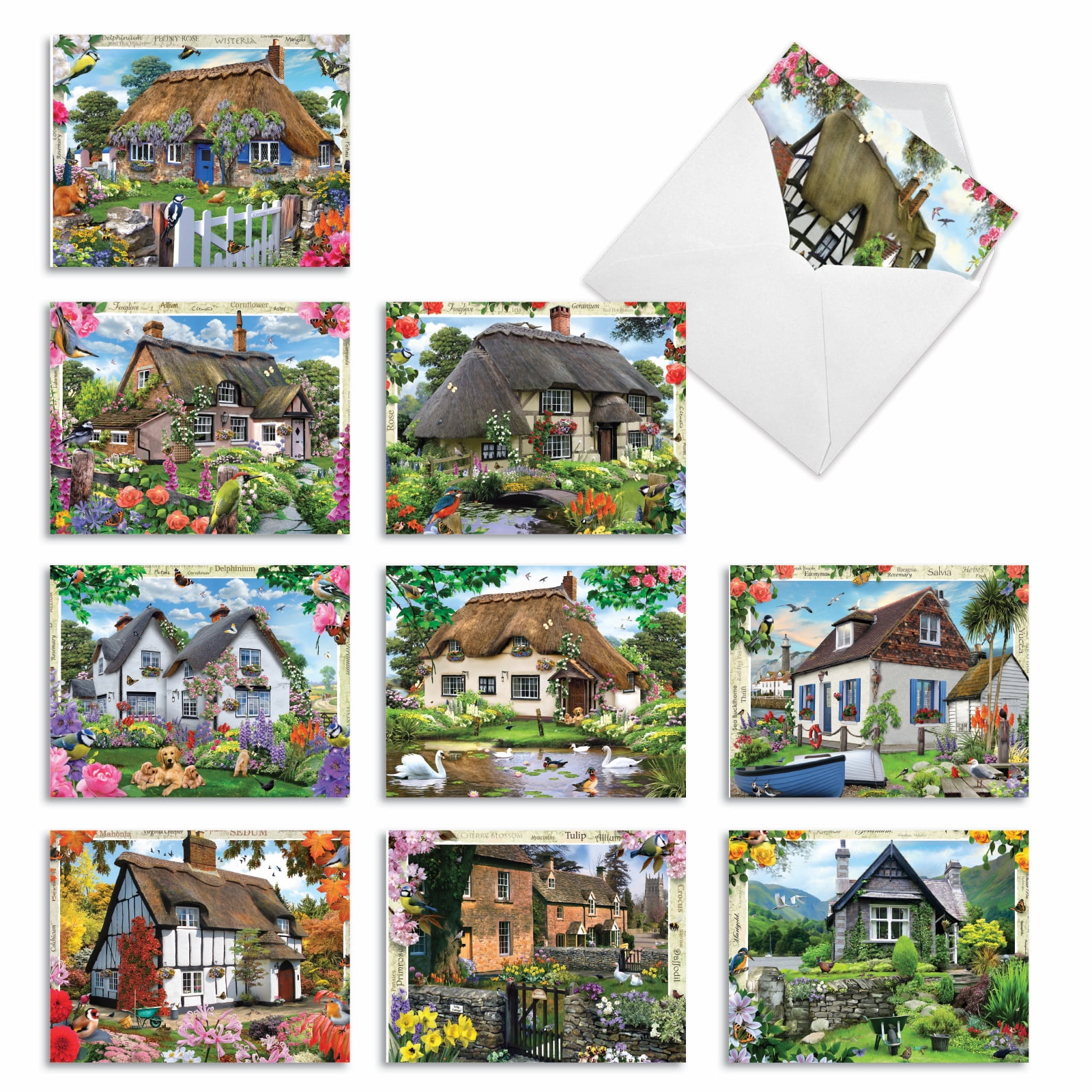 10 Assorted All Occasion Blank Note Cards Pack - Cottage Life - Walmart.com