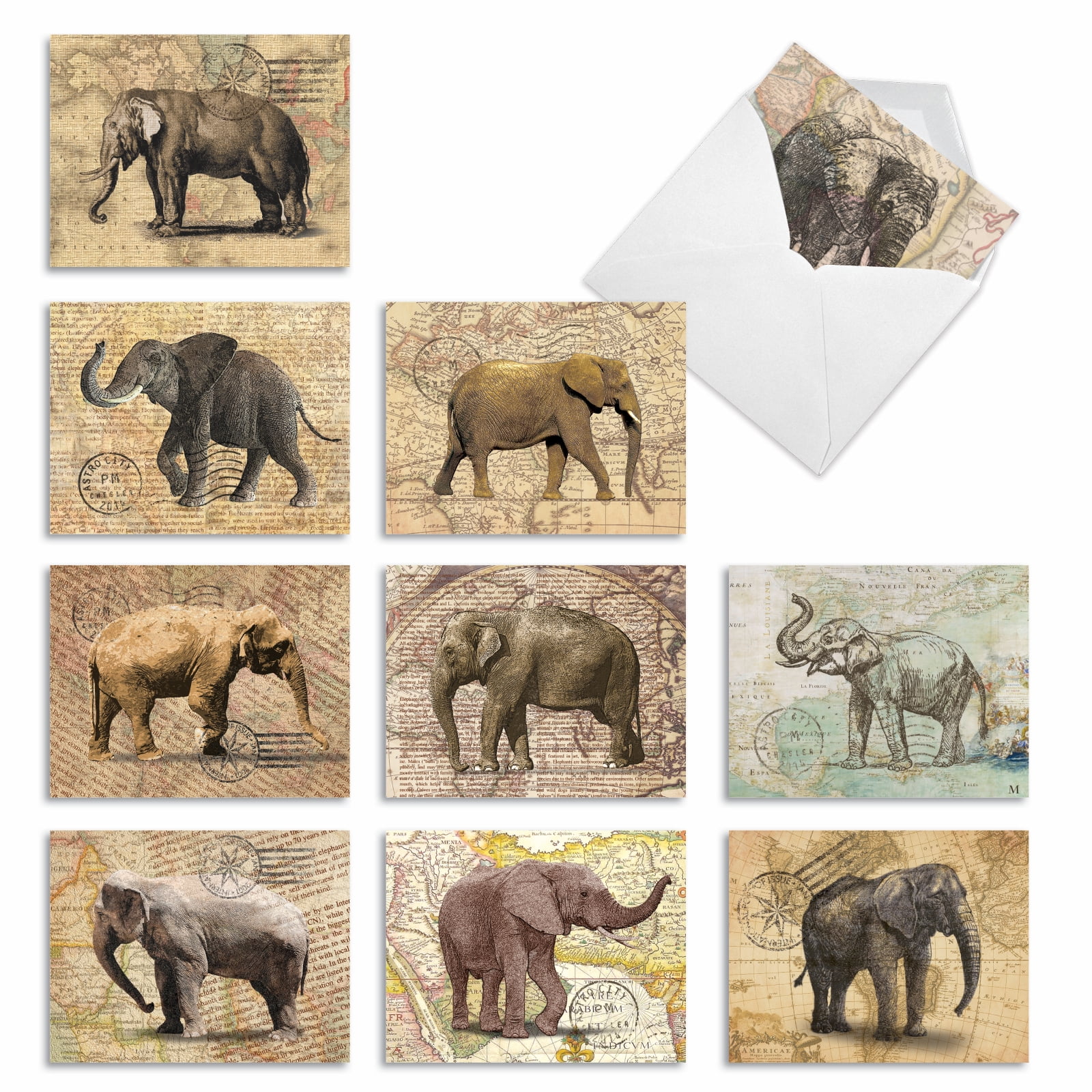10 Assorted All Occasion Blank Note Cards Pack - Trunk Mail - Walmart.com