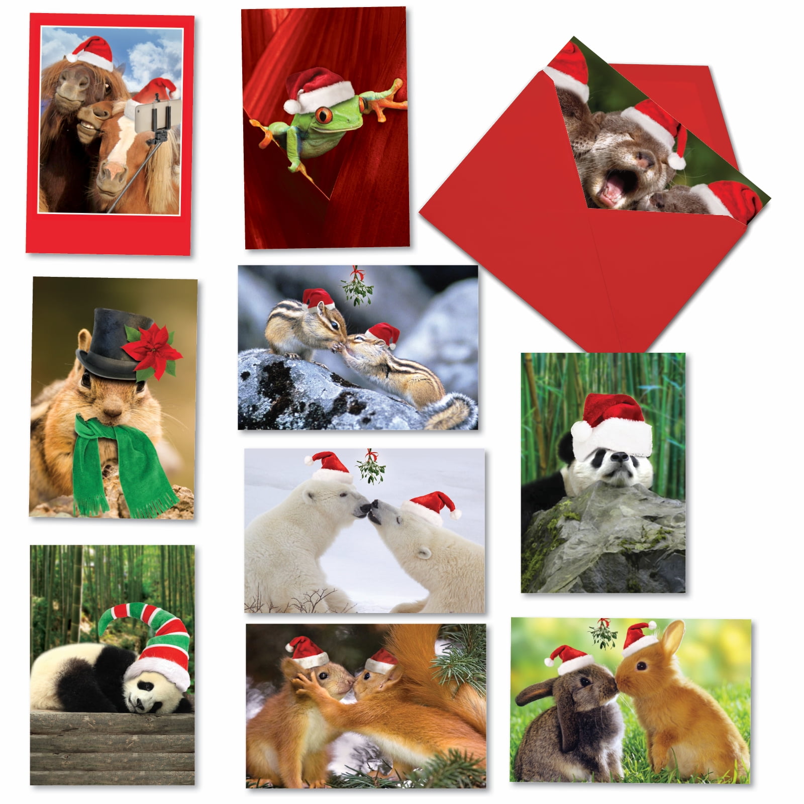 10 Assorted Set Christmas Greeting Cards - Christmas Creatures - Funny ...