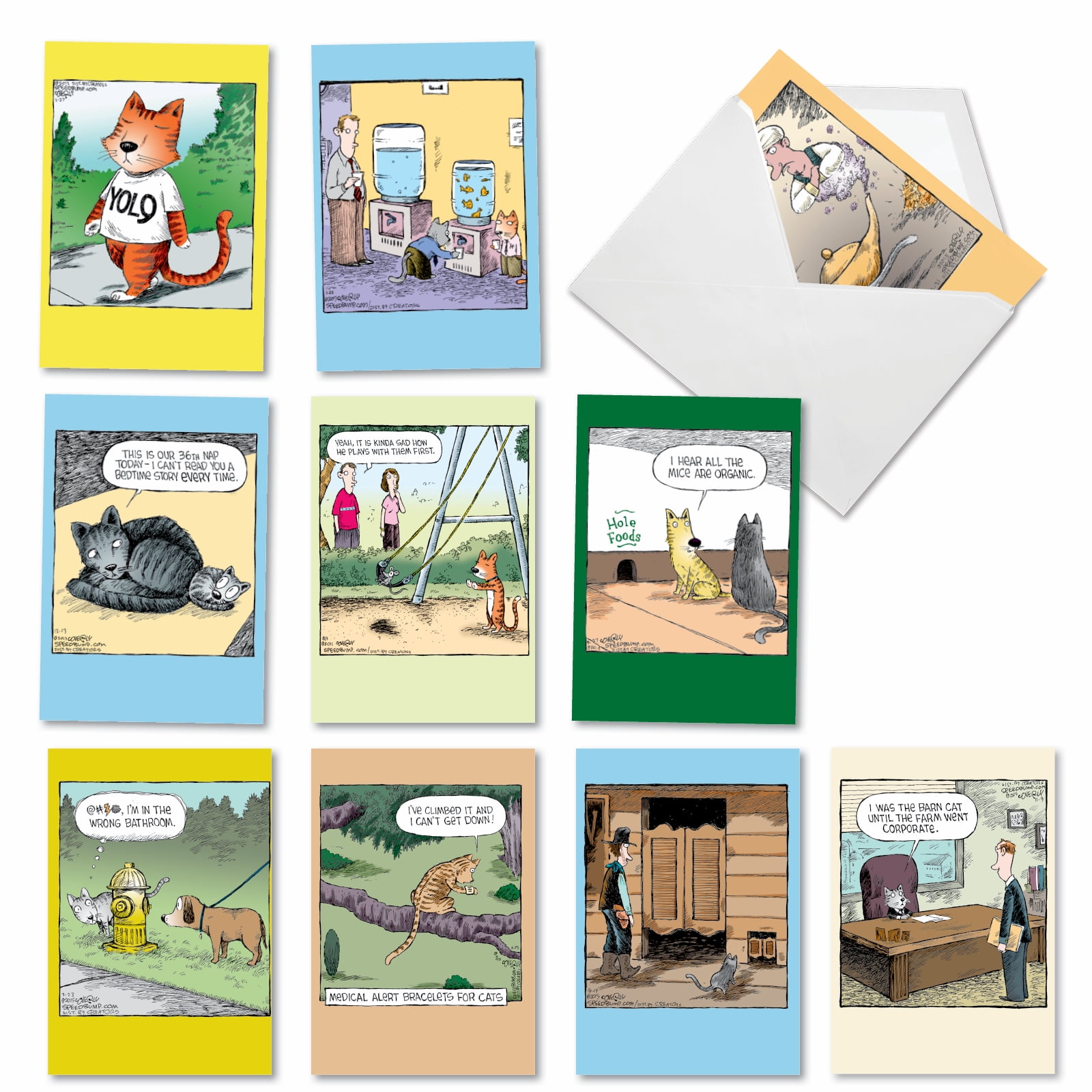 10 Assorted Set Hysterical Birthday Greeting Cards w/5 x 7 Inch ...