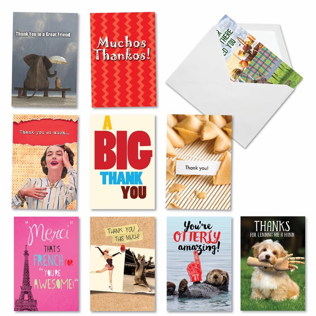 10 Assorted Set Hysterical Thank You Greeting Cards - Many Thanks Blue ...