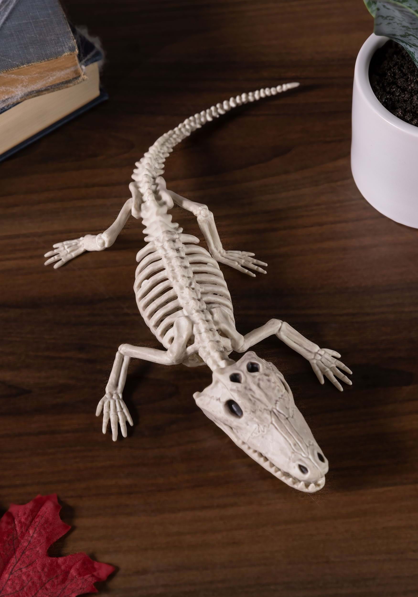 10" Baby Alligator Skeleton Prop - Walmart.com