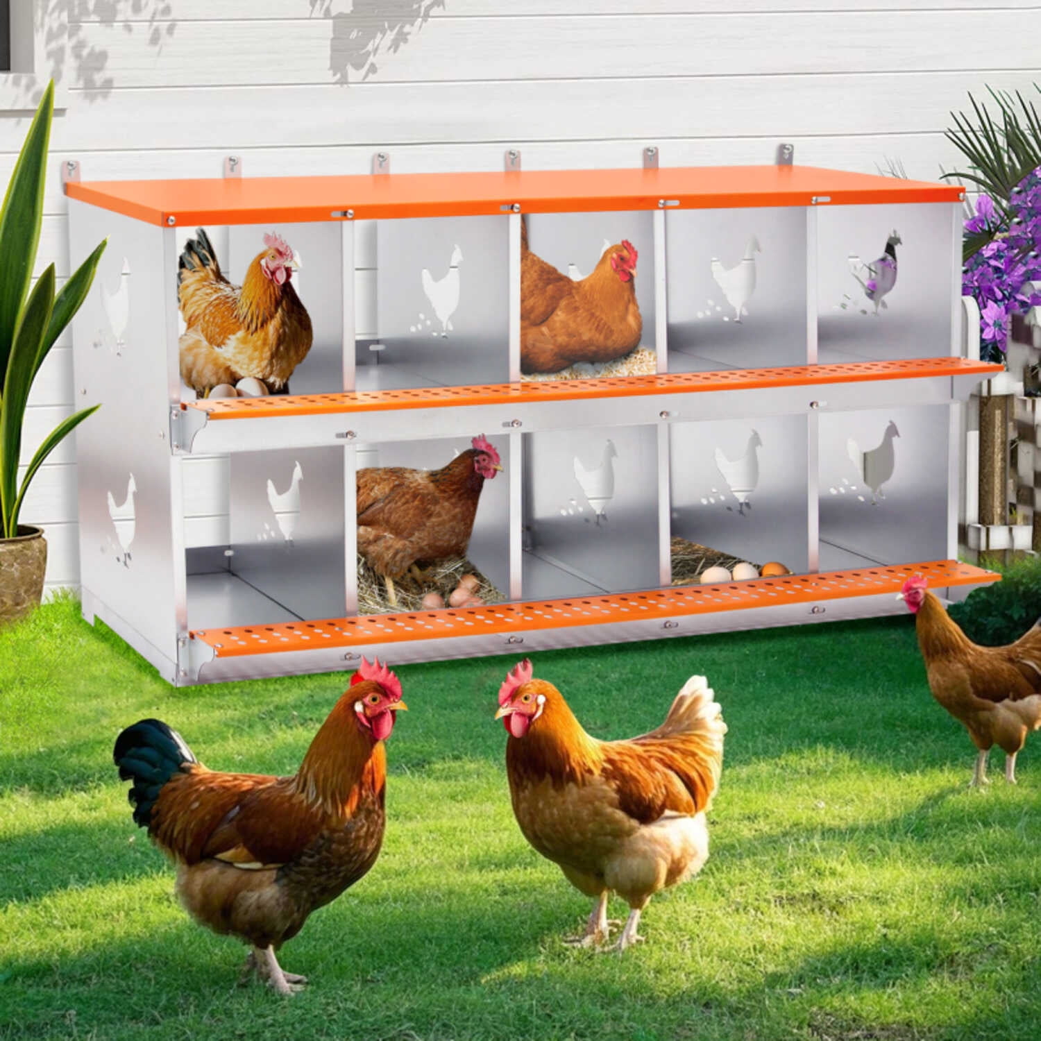 10-Bay Metal Nest Box-Wall Mount for Hens/Ducks, Easy Egg Collection ...