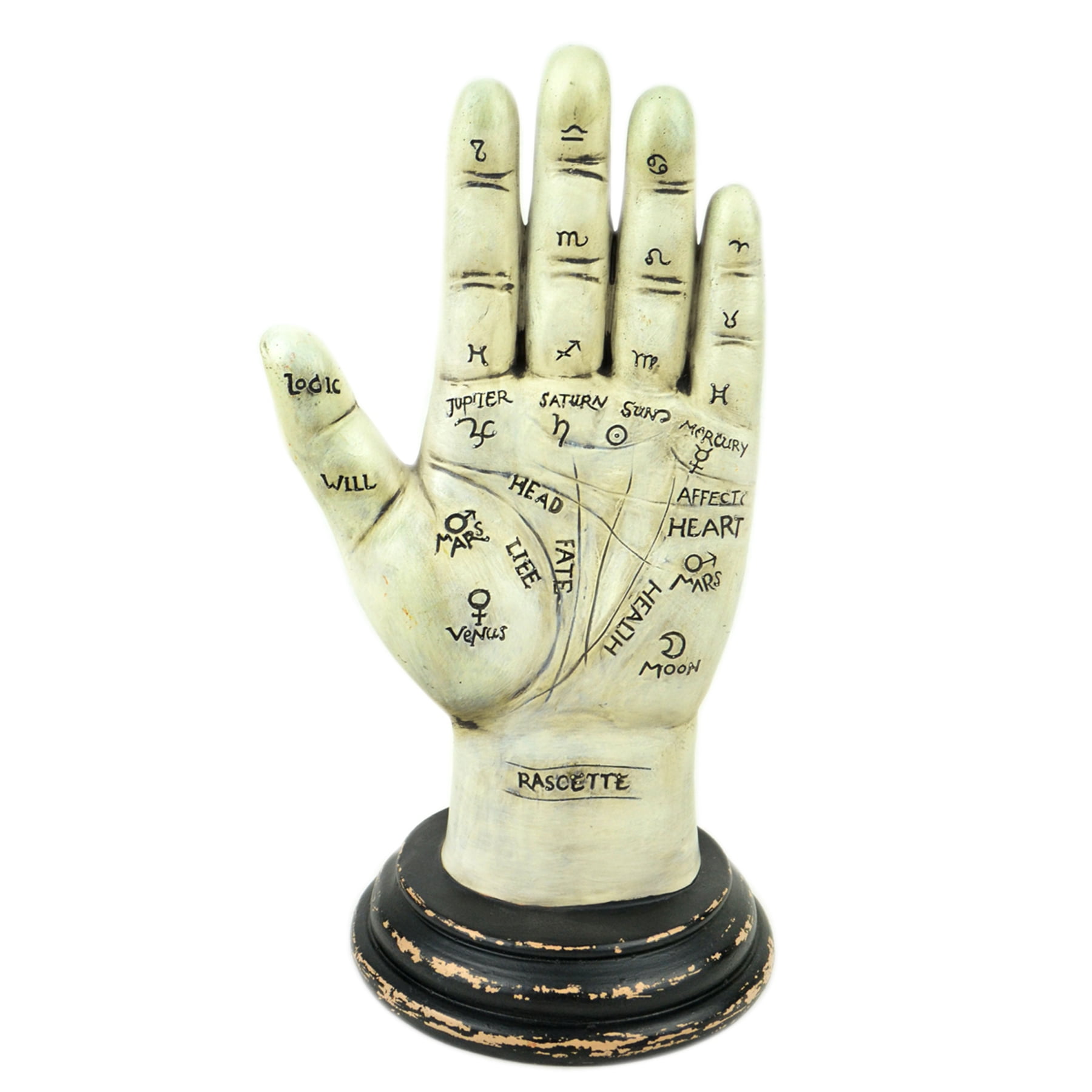 Palm zodiac sign 60 photos - Youhoroscope.com