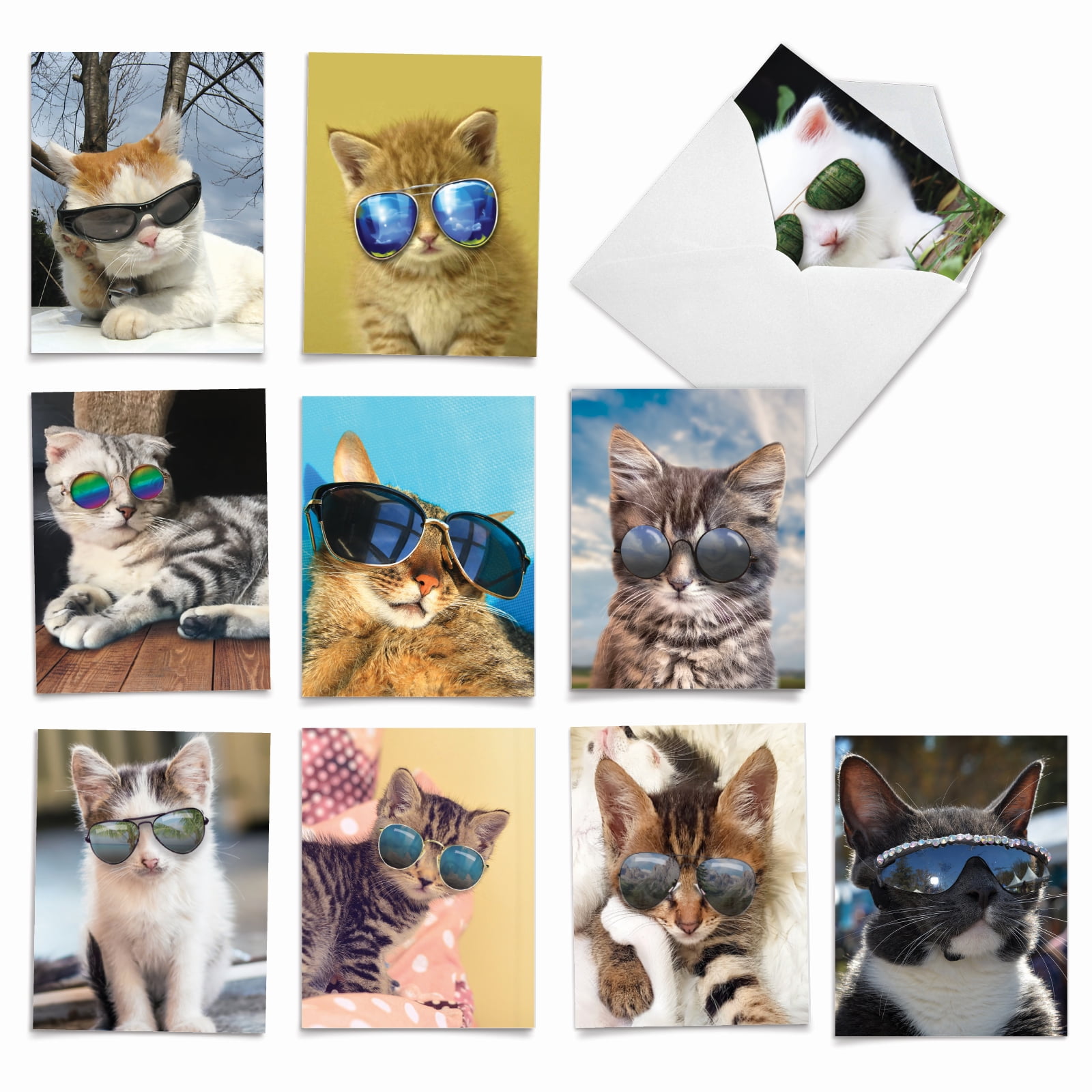 10 Blank All Occasion Cards Pack - Kool Kitties - Walmart.com
