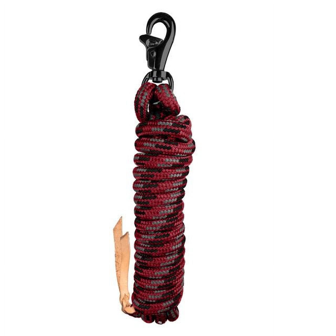 10’ Clinician Tri- Colored Training Lead - Walmart.com