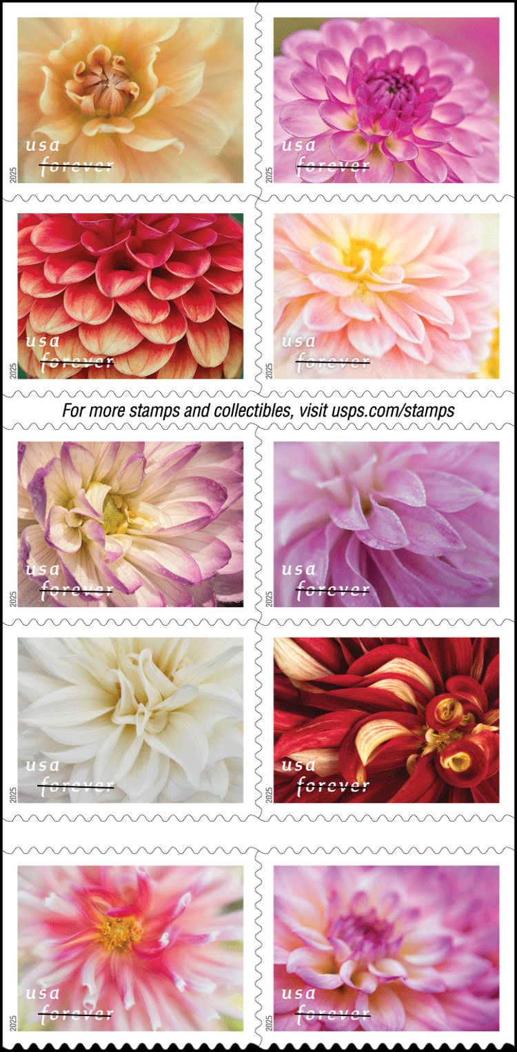10 Dahlias USPS Forever Postage Stamp US First Class Celebrate Flower ...