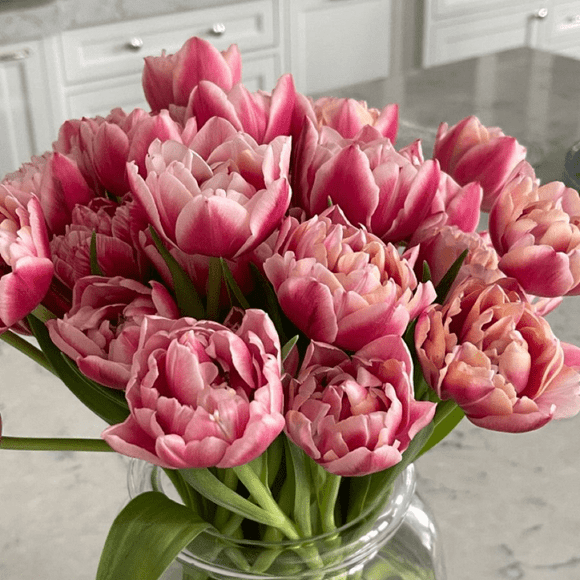 Peony Bulbs in Plant Bulbs - Walmart.com