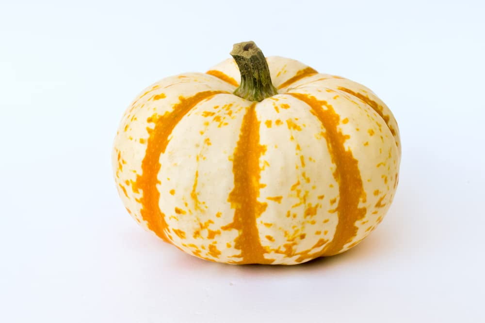 10 Dwarf Tiger Striped Pumpkin Seeds - Colorful Fall Decor - 10 Pack of ...