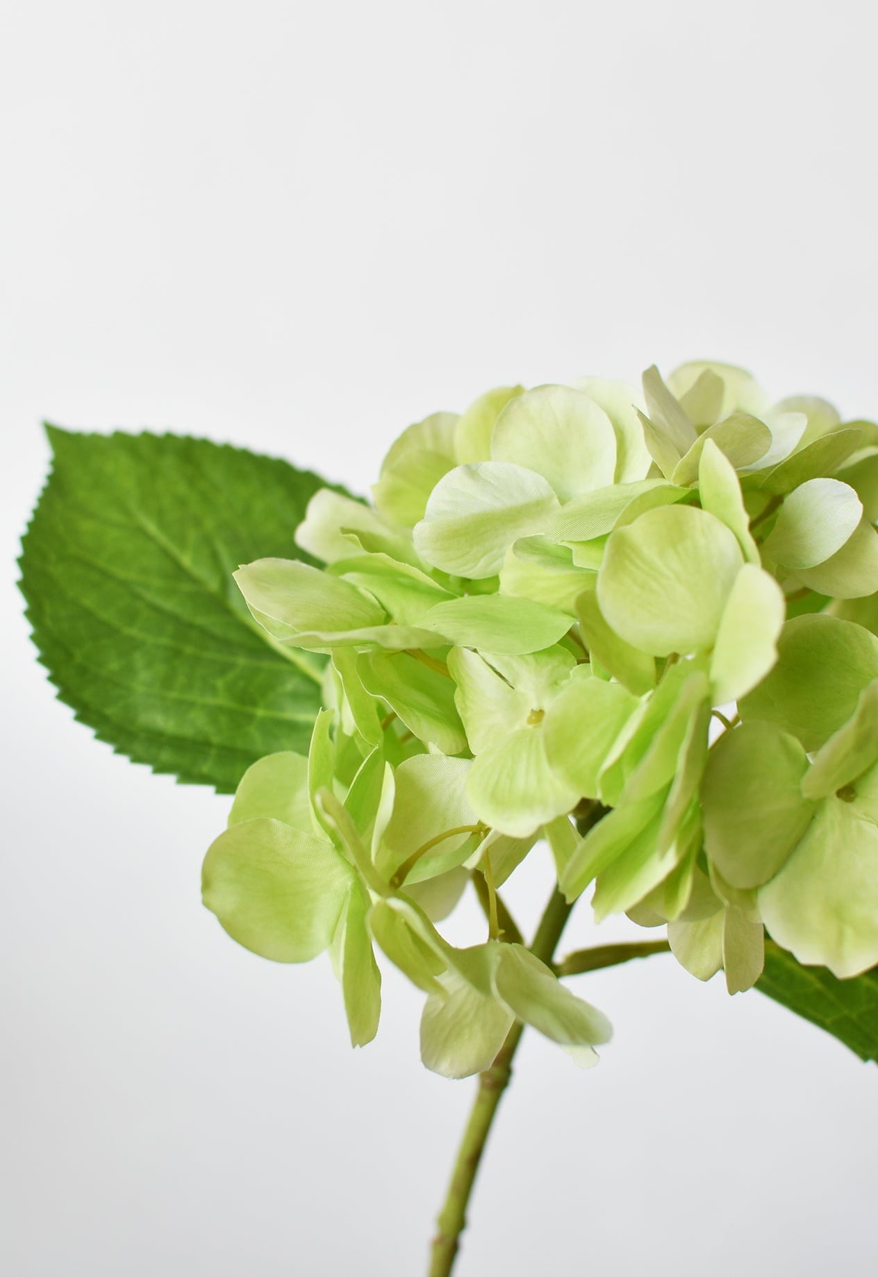 10" Faux Green Hydrangea Stem - Walmart.com