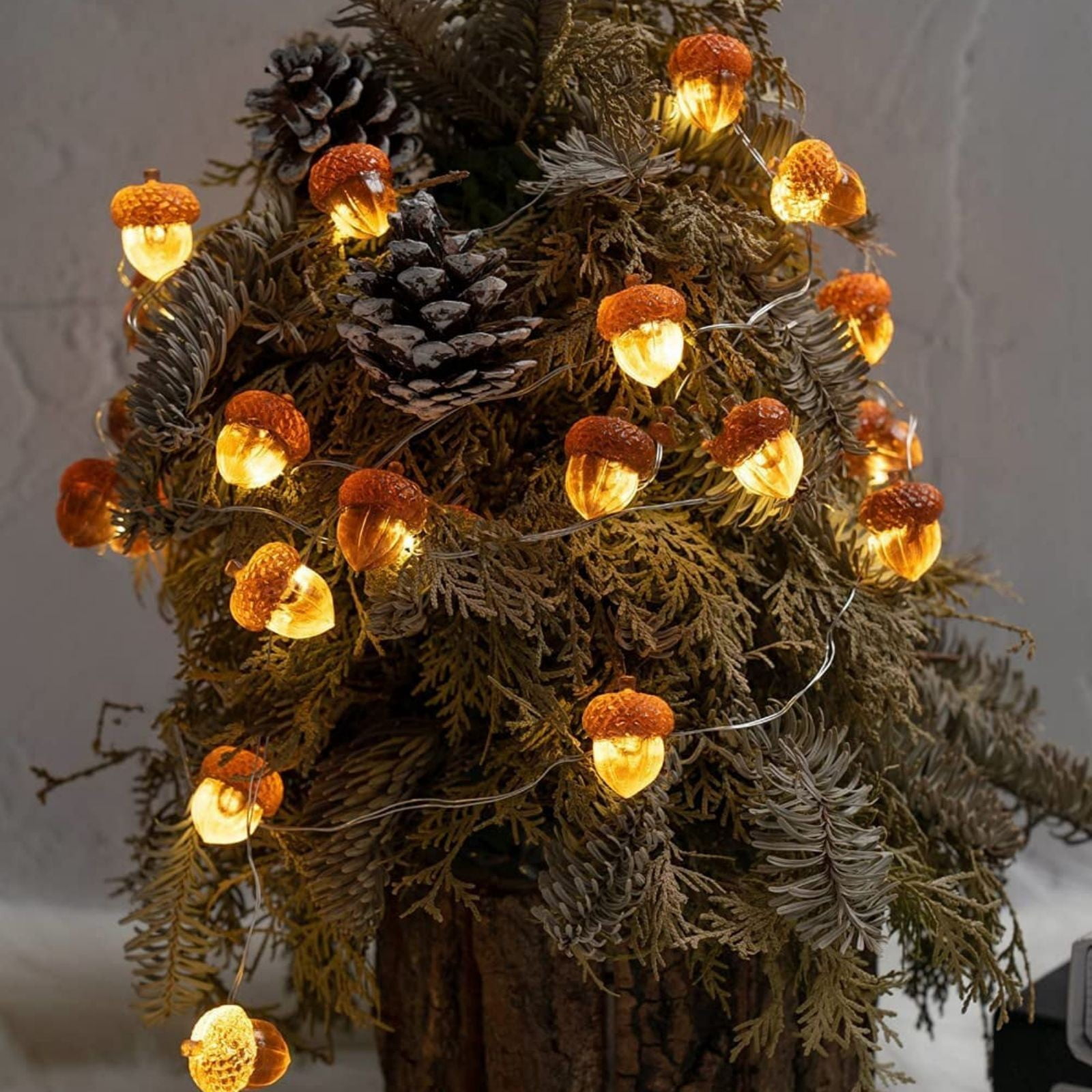 10 Feet 30LED Holiday Lighting Nut String Lights Indoor And Outdoor ...