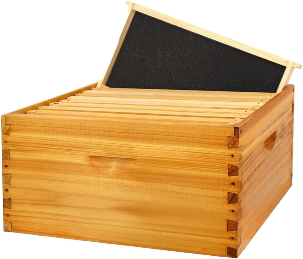 10 Frame Bee Hive Box, Langstroth Deep Brood Bee Box Dipped in 100% ...