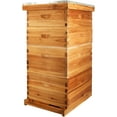 10-Frame Bee Hive Complete Beehive Kit Beeswax Coated Beehive Include ...