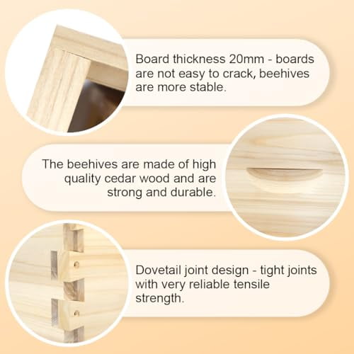 10 Frame Bee Hive, Complete Beehive Starter Kit Includes 2 Deep Brood ...