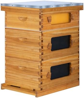 10 Frame Bee Hive Starter Kit with Windows, Beeswax Coated Langstroth ...