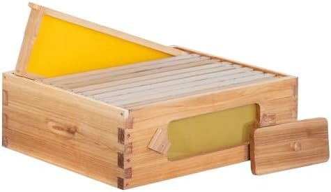 10 Frame Beehive Medium Super Box with Window, Langstroth Bee Hive Box ...