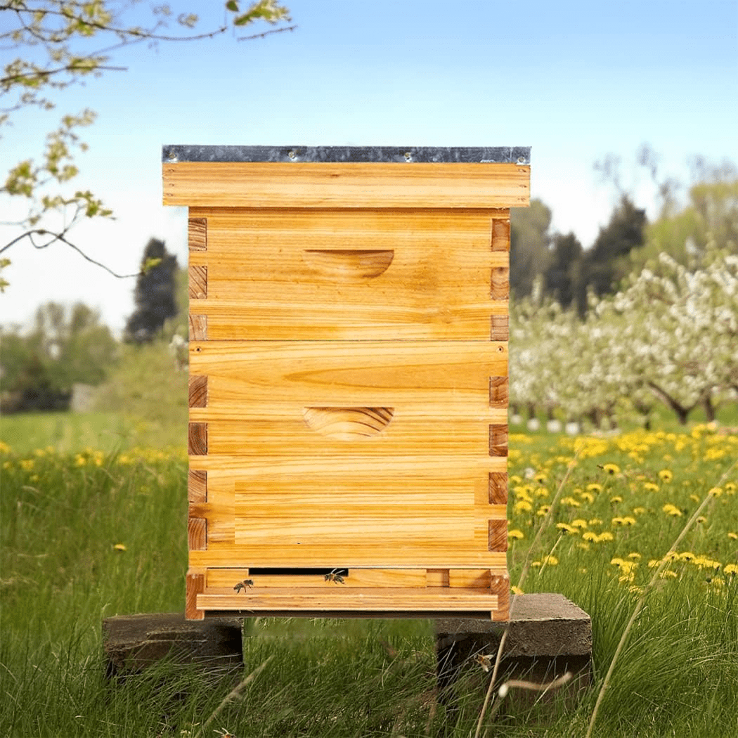 10-Frame Beehive Starter Kit, Wax-Coated Complete Beehive Kit Includes ...