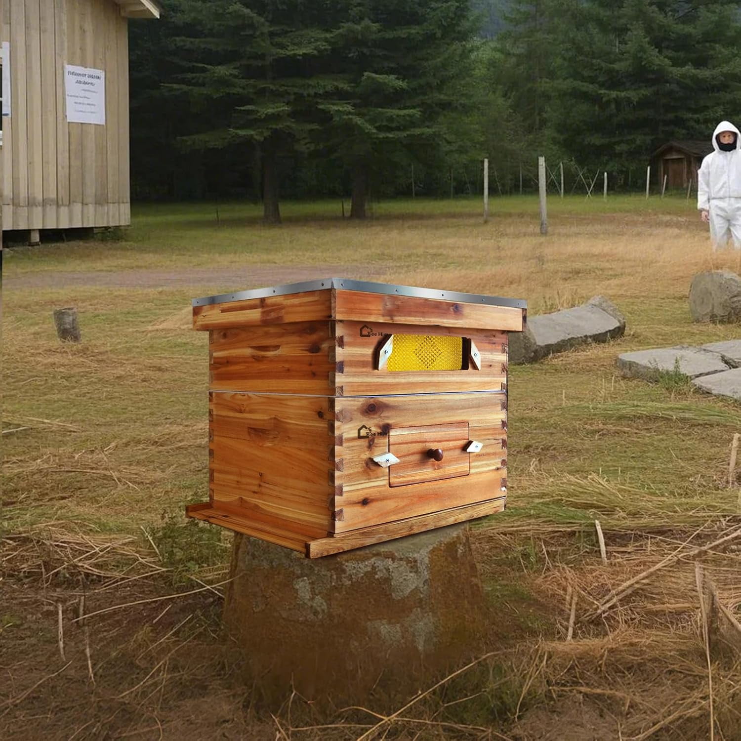 10-Frame Complete Bee Hives and Supplies Starter Kit Dipped in 100% ...