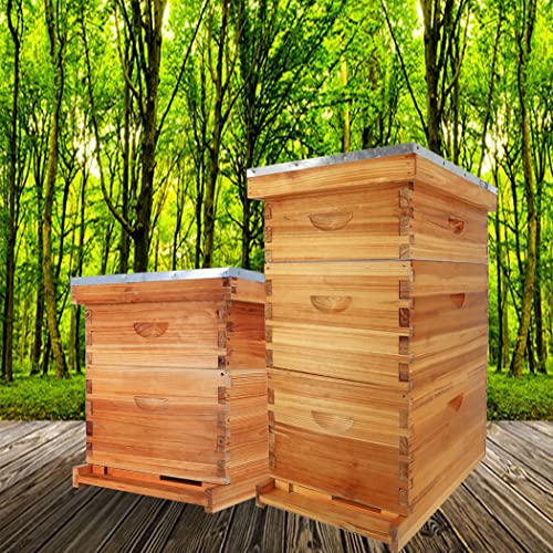 10-Frame Langstroth Bee Hive Complete Bee Hive Kit Beeswax Coated ...