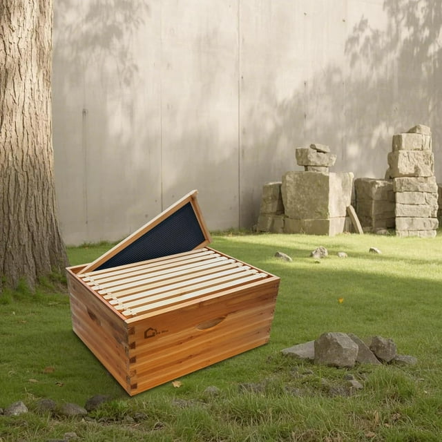 10 Frame Langstroth Deep Brood Bee Box Kit, Premium Fir Wood Beehive ...
