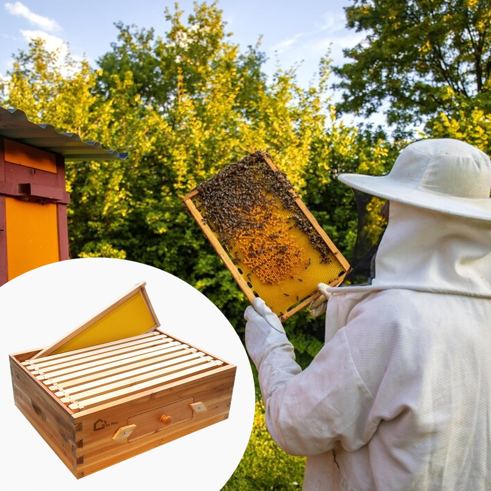 10-Frame Medium Super Bee Box, Wax Coated Bee Hives with Transparent ...