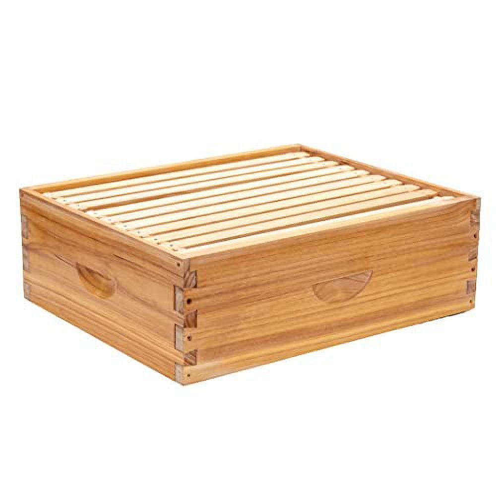 10 Frame Medium Super Bee Hive Box, Langstroth Beehive Super Honey Bee ...