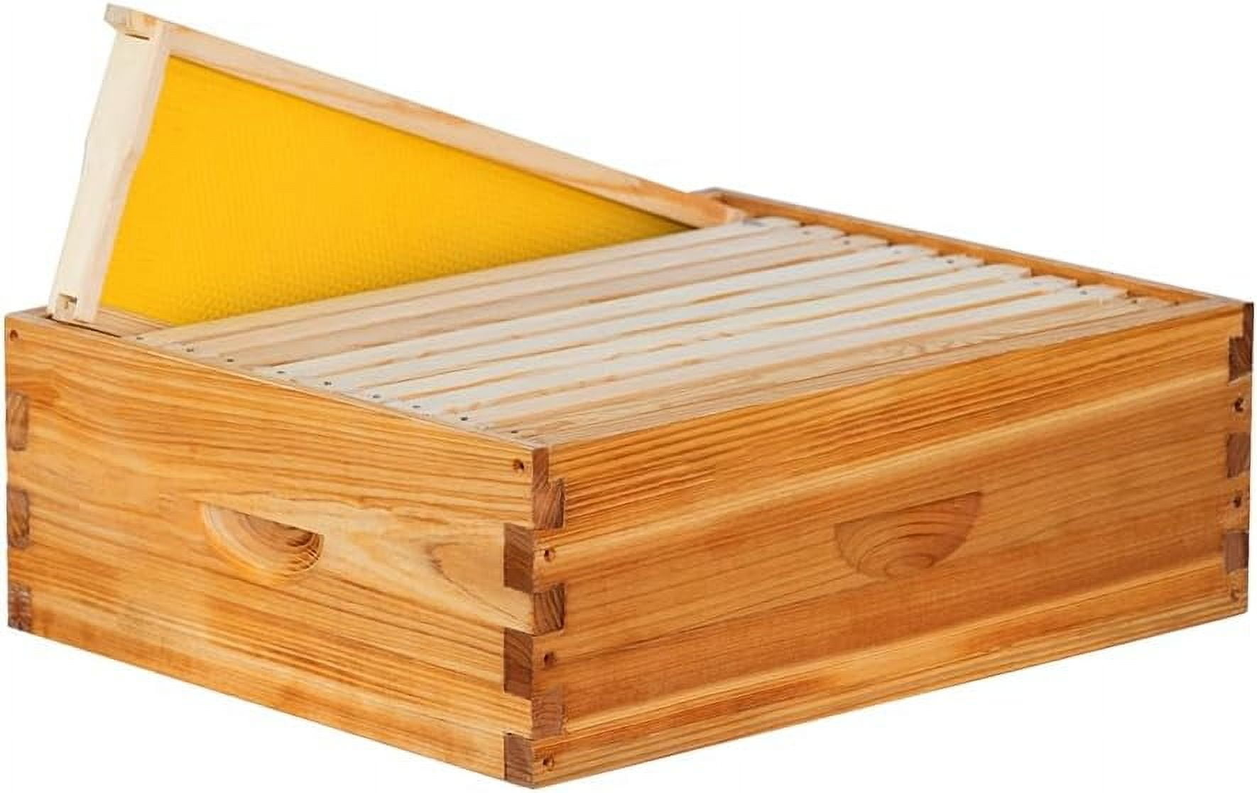 10 Frame Medium Super Beehive Box Wax Coated Bee Hives Includes Beehive Frames and Waxed ...