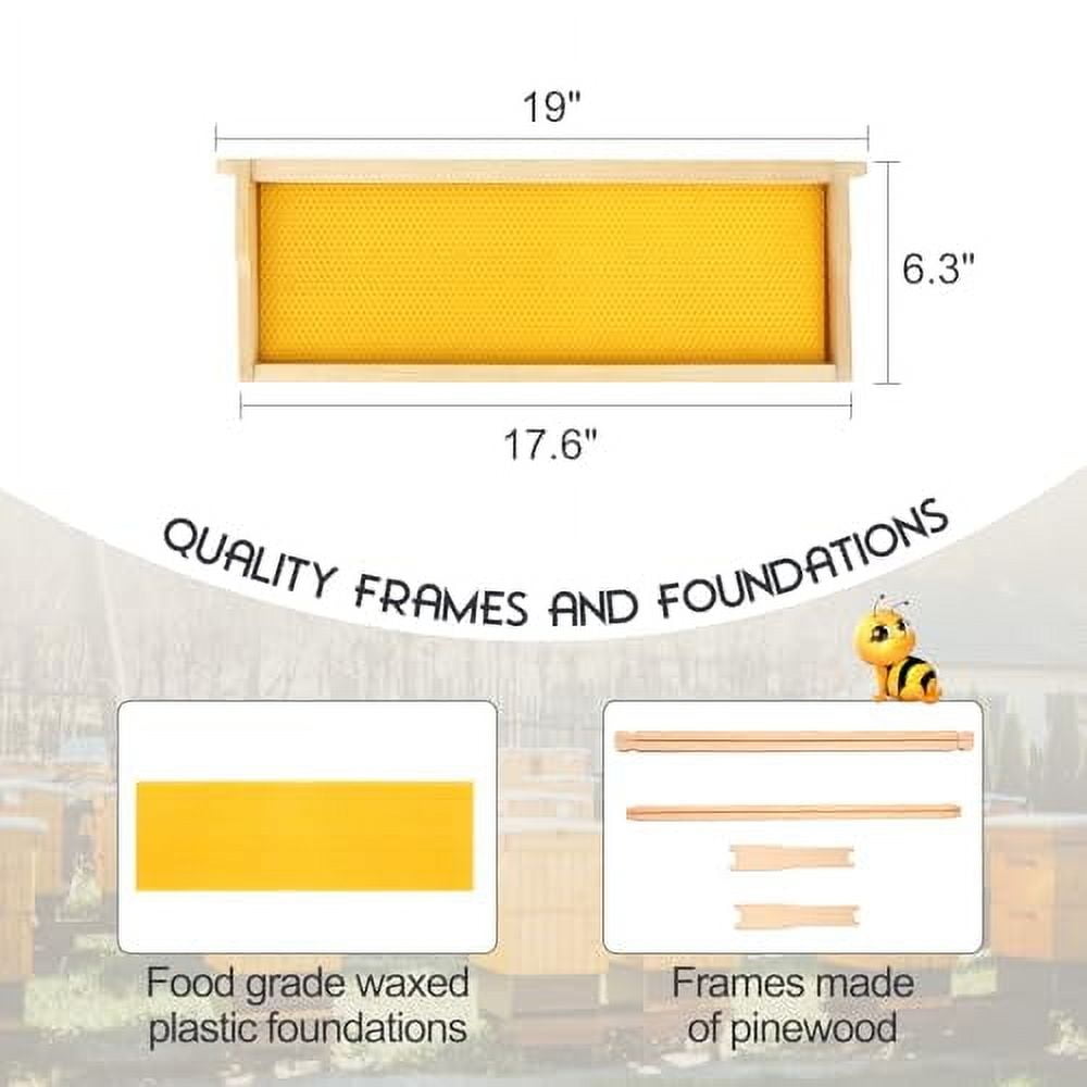 10 Frame Medium Super Box for Honey Bee Hives Beeswax Coated Beehive Super Box with Frames and ...