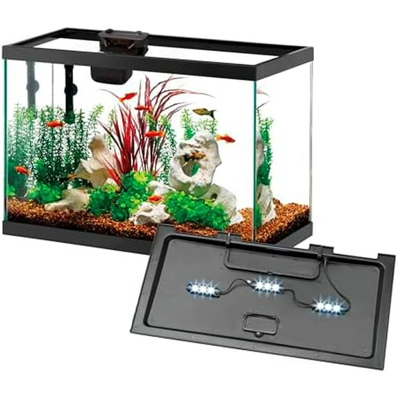 10 Gallon Aquarium Starter Kit with SmartClean Filtration and LED ...