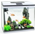 10 Gallon Glass Aquarium Fish Tank Starter Kit with Temperature and ...