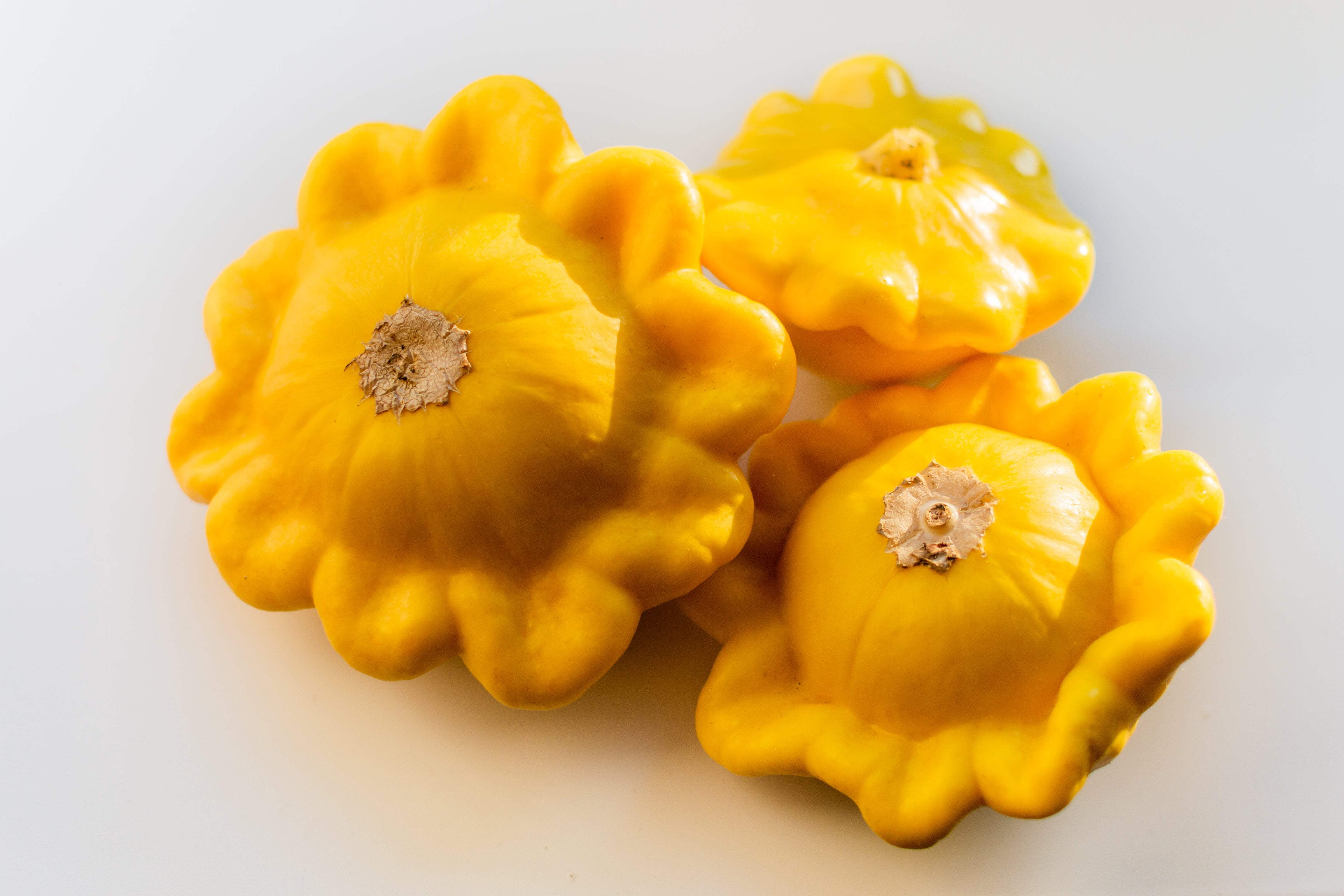 Seedville 10 Golden Bush Scallop Squash Plant Seeds, Yellow - Walmart.com