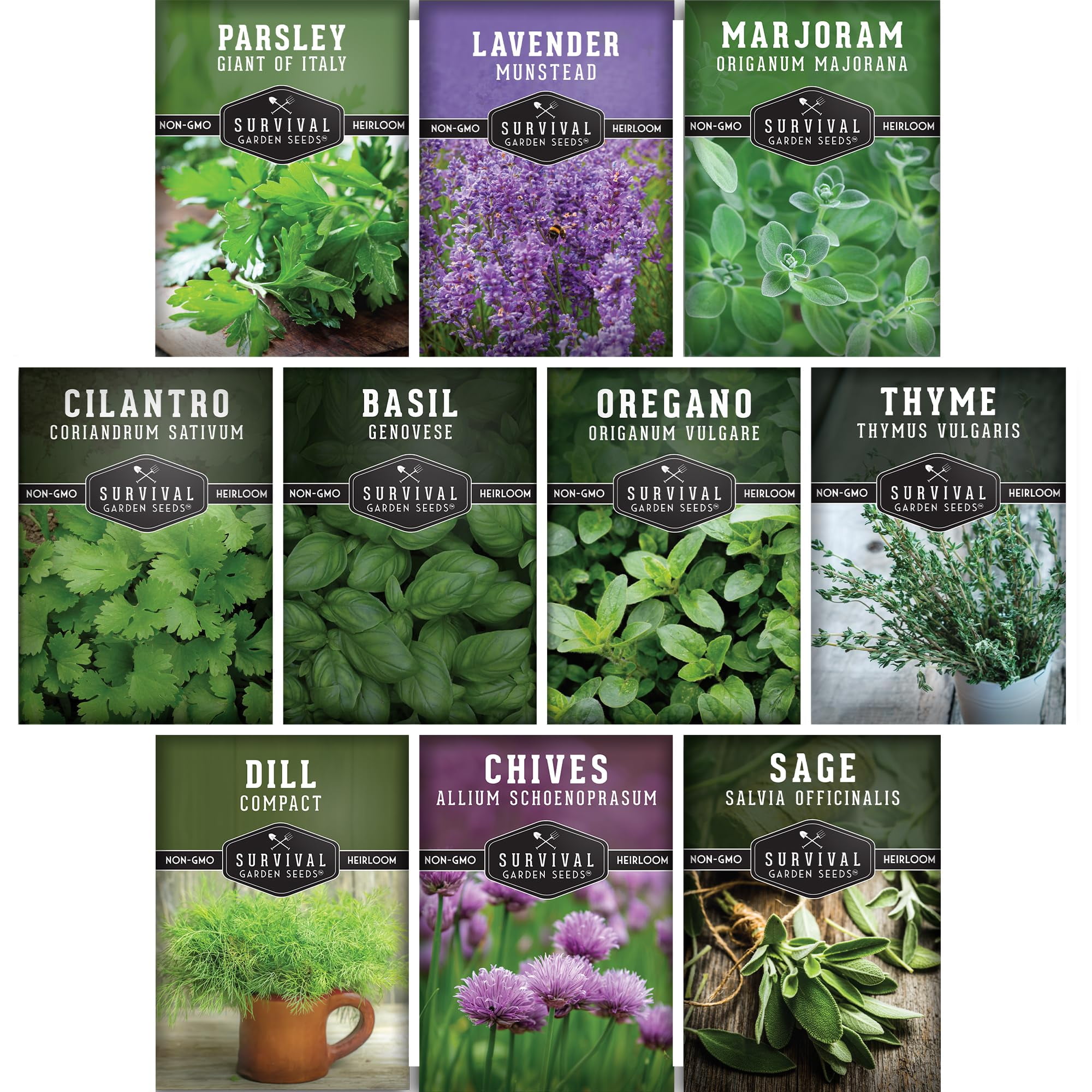 10 Herb SeedsUMRT Collection - Variety Pack to Grow Basil, Cilantro, Dill, Lavender, Marjoram ...
