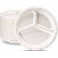 [10 Inch 3 Compartment Compostable Paper Plates - 125 Pack White Heavy ...