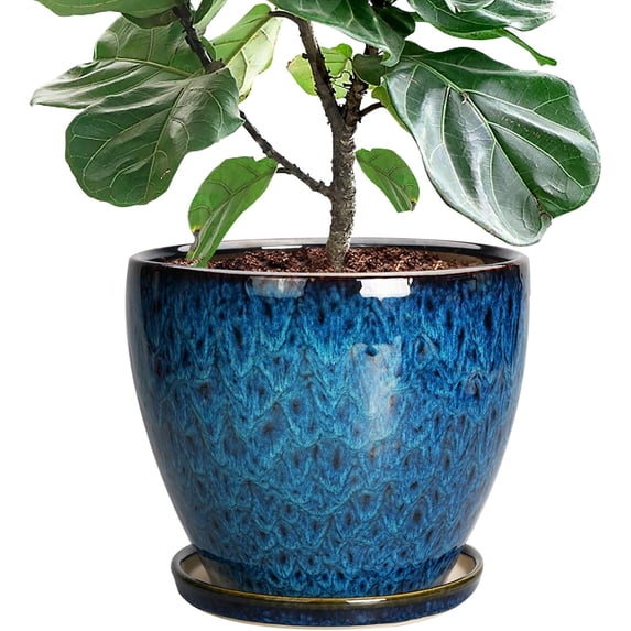 10 Inch Ceramic Planter Pot Round Plant for Indoor Plants Outdoor Large ...
