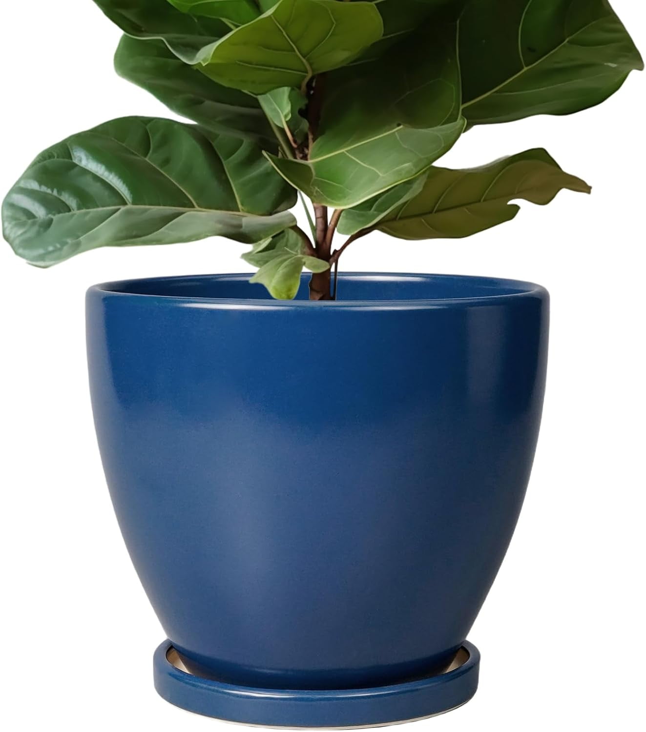 10 Inch Plant Pot - Ceramic Planter with Drainage Hole and Saucer ...
