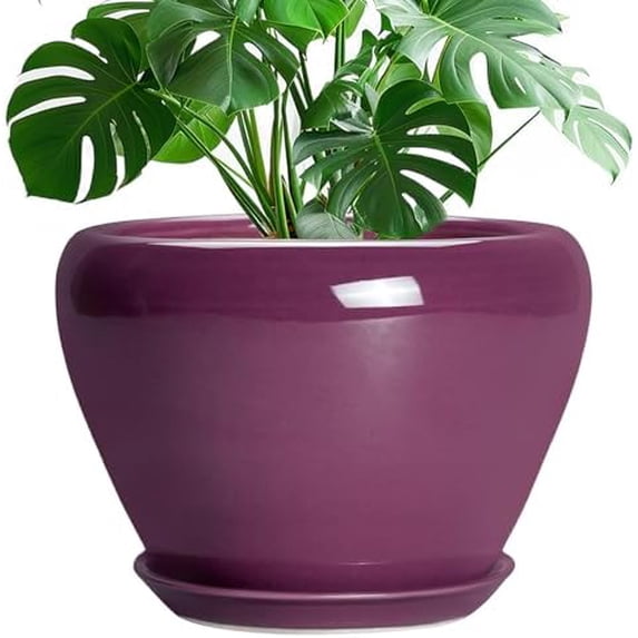 10 Inch Plant Pot - Ceramic Planter with Drainage Hole and Saucer ...