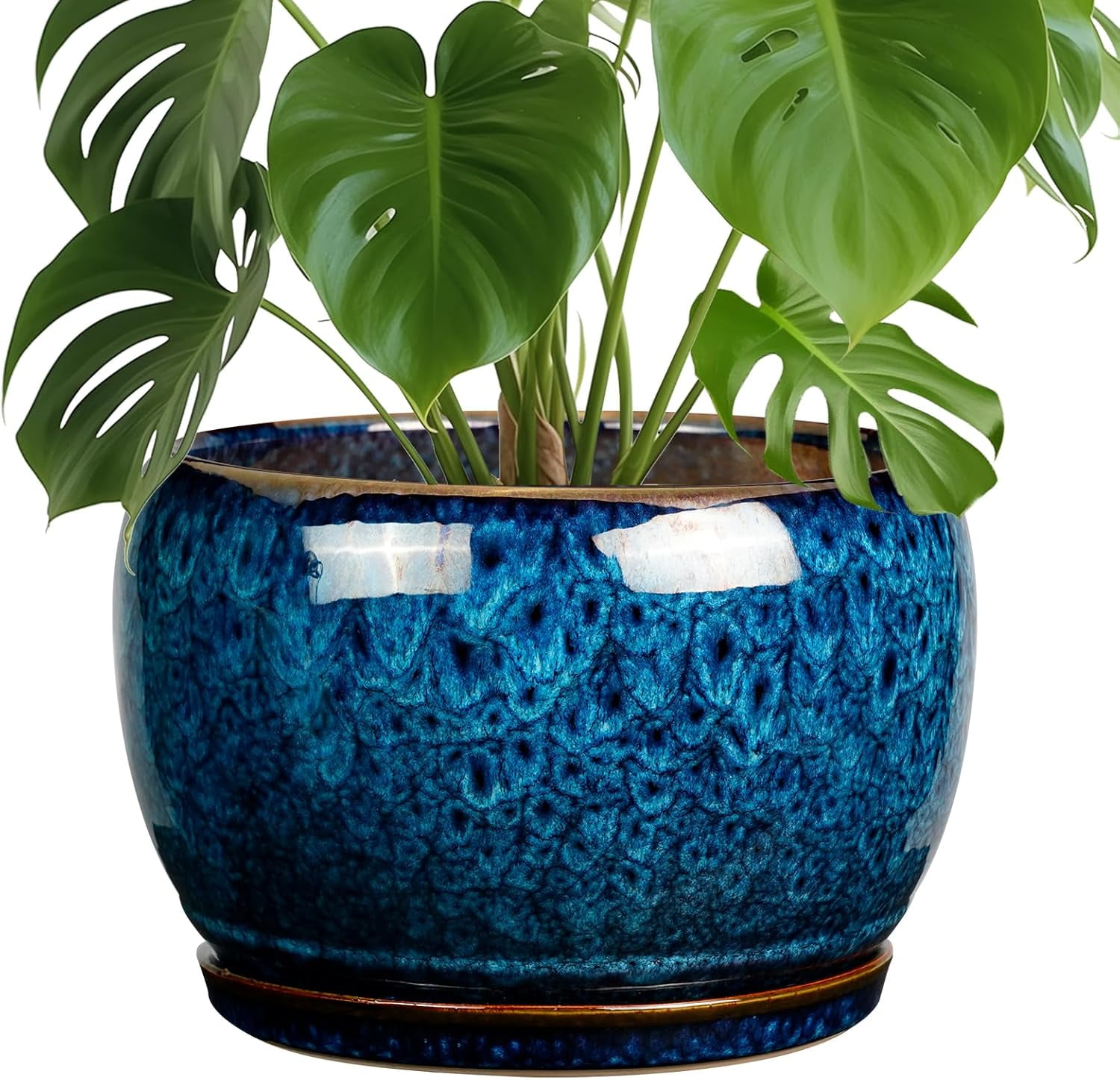 10 Inch Blue Ceramic Plant Pot – Round Large Decorative Planter with Drainage Hole & Saucer for ...