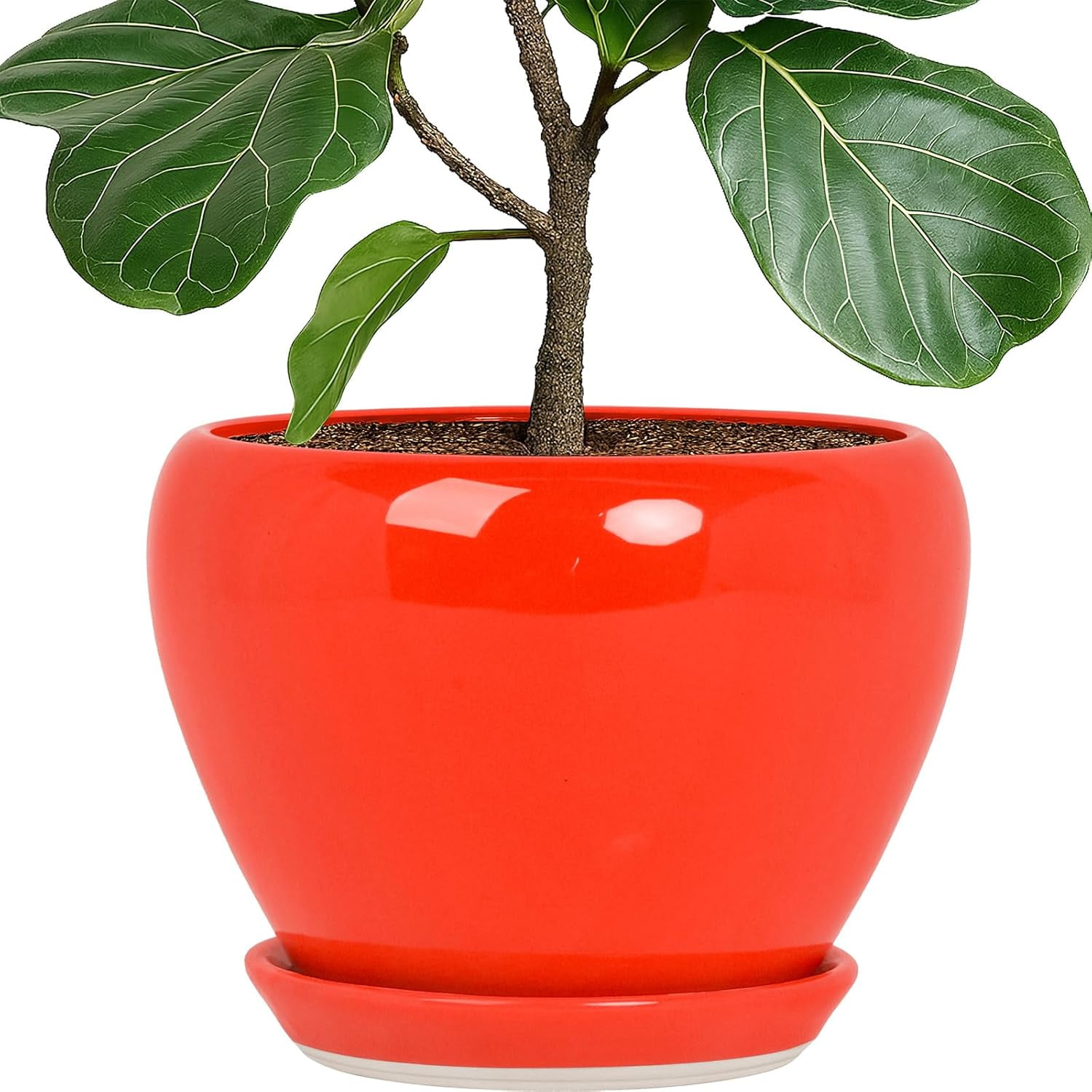 10 Inch Plant Pot- Ceramic Planter Pot Round Plant Pots for Indoor ...